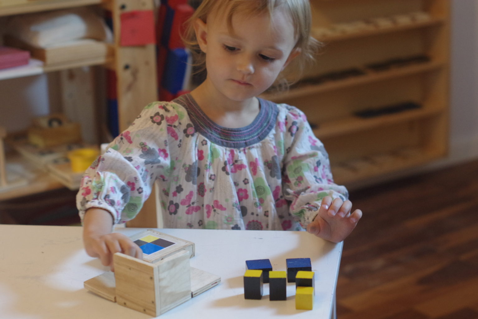 Formations Montessori 3-6 ans - En terre d'Enfance